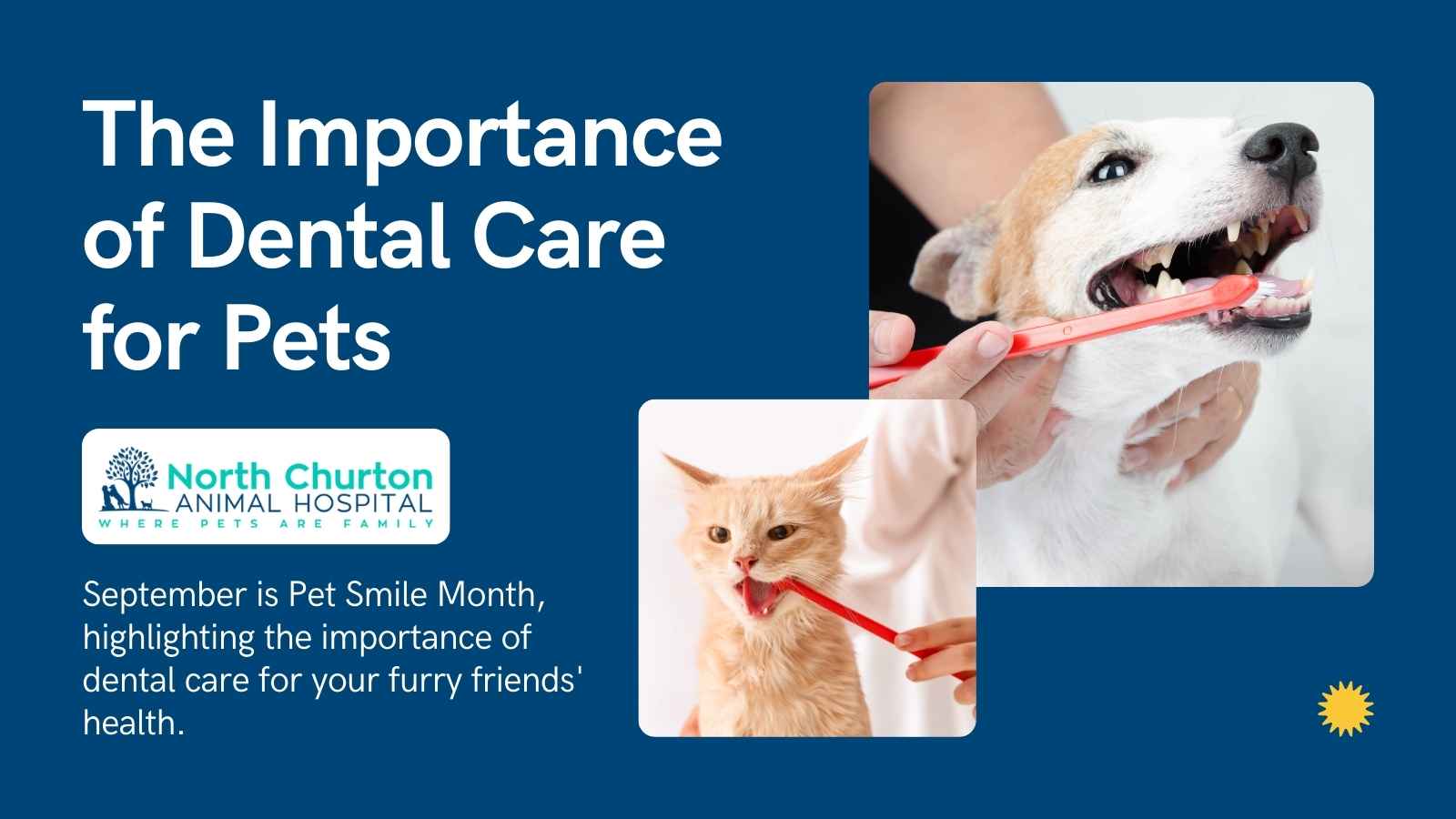 The Importance of Dental Care for Pets: September Pet Smile Month North ...